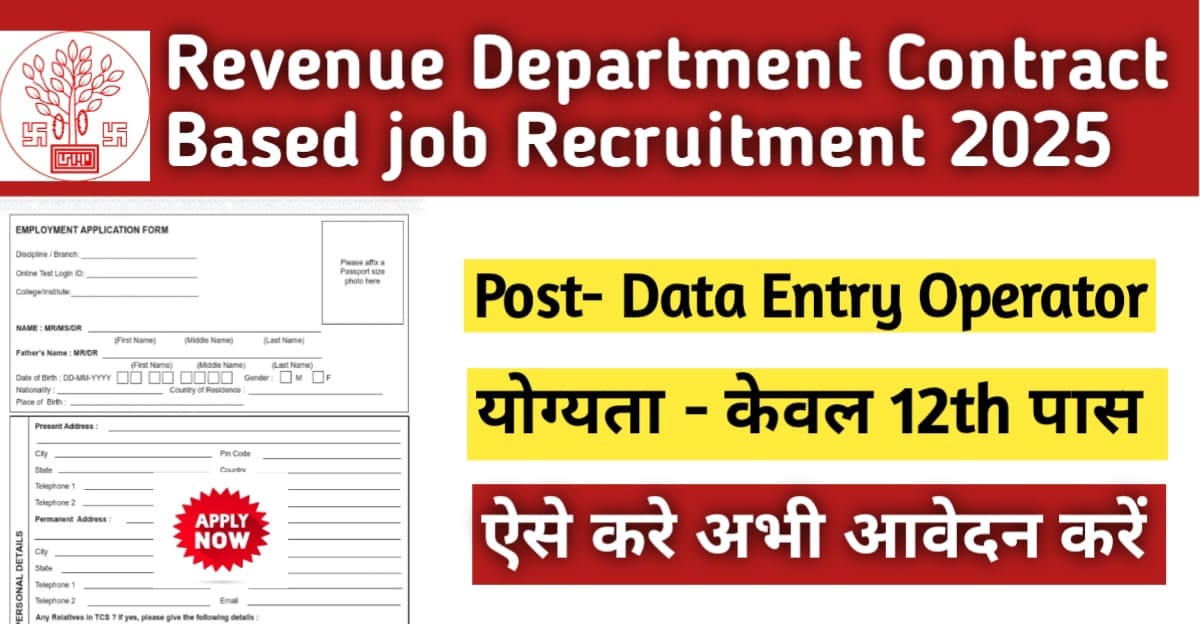 Revenue Department Contract Job 2026 : DEO के लिए सुनहरा मौका 12th पास ...